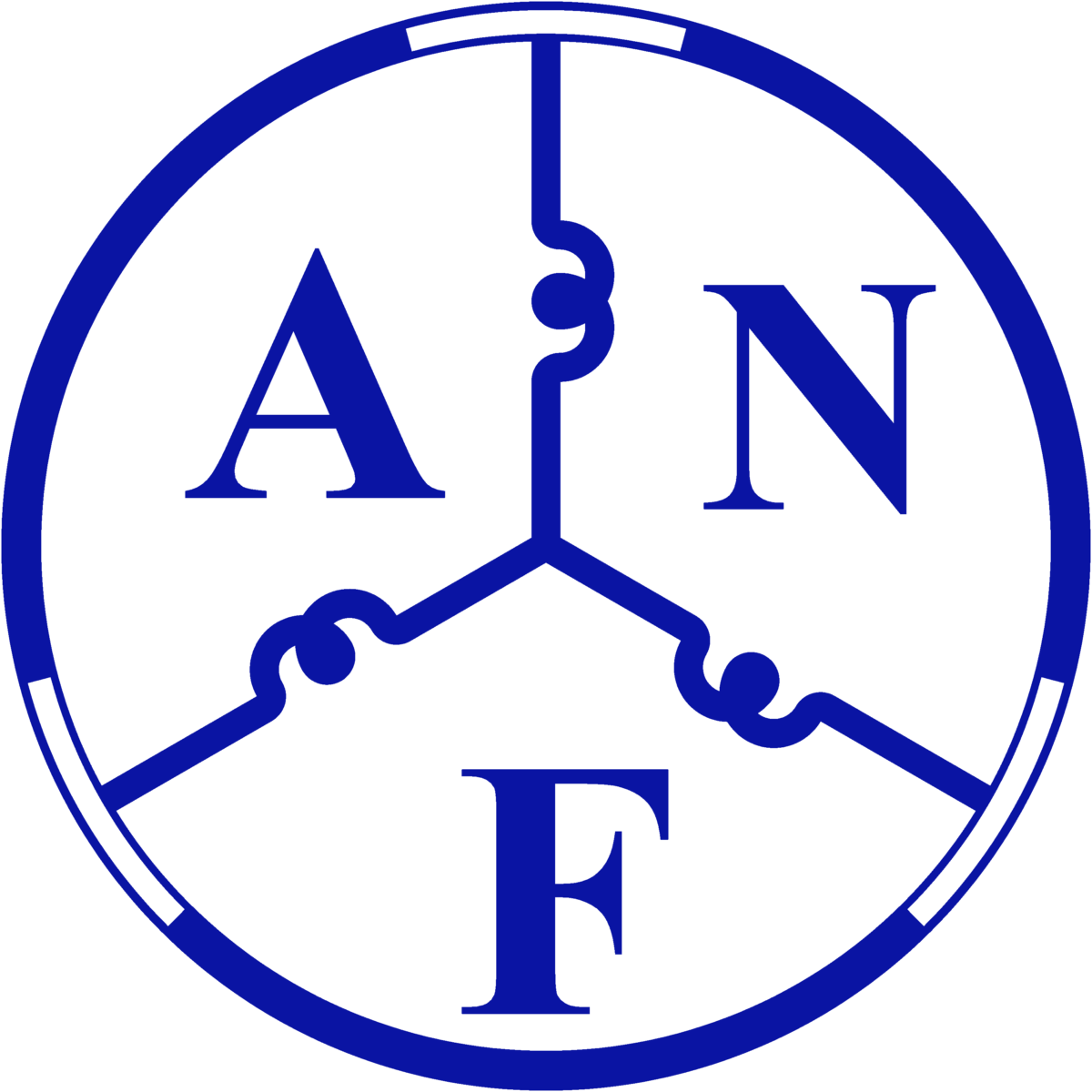 درباره ما – ANF CO